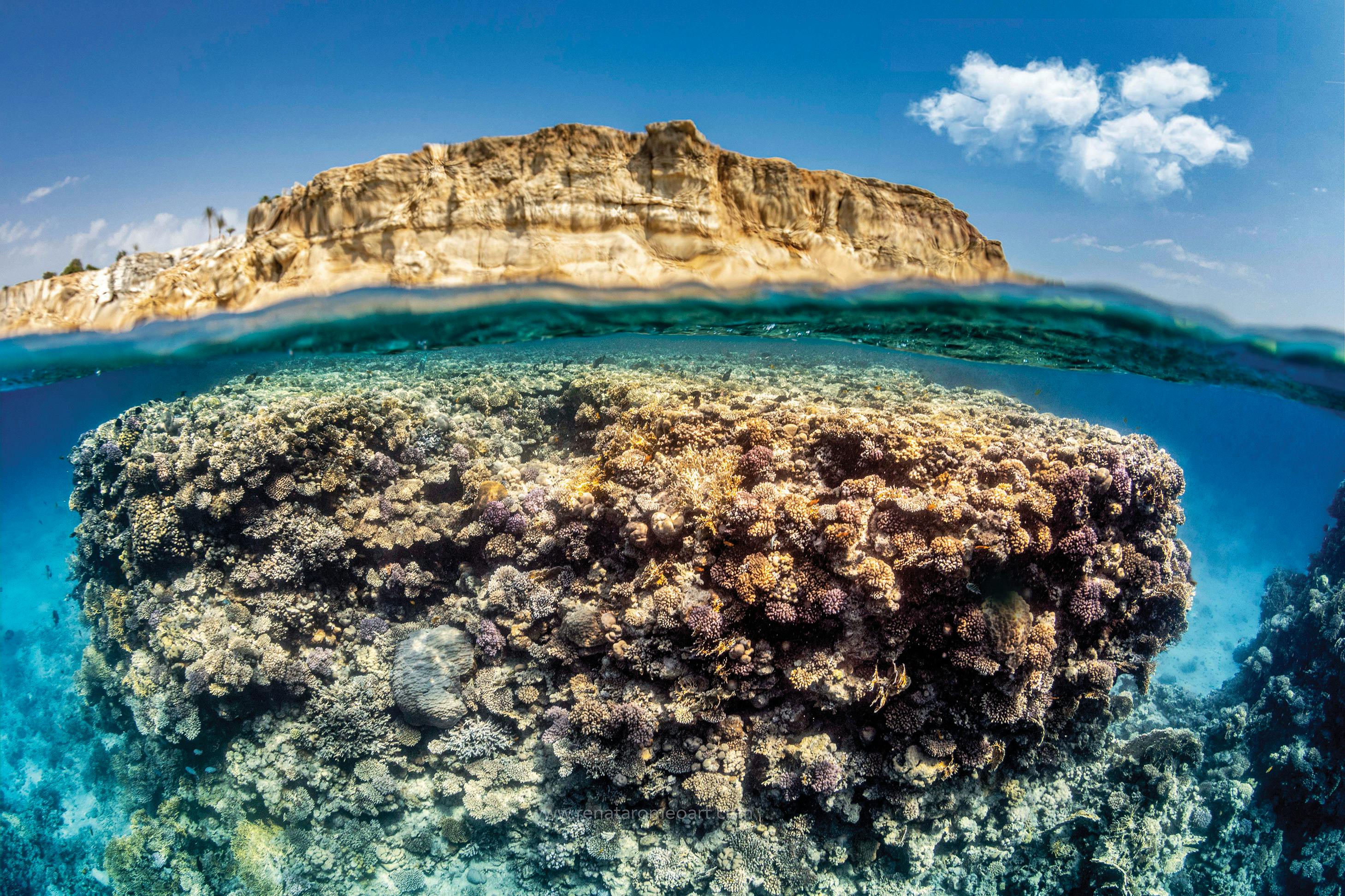 Fringing Reef Underwater