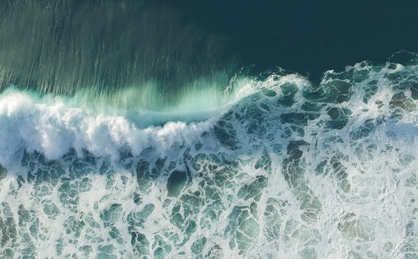 Our Incredible Ocean - The Ocean Agency