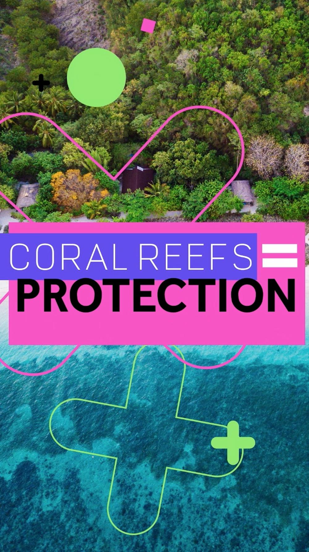 The Magic of Coral Reefs - The Ocean Agency