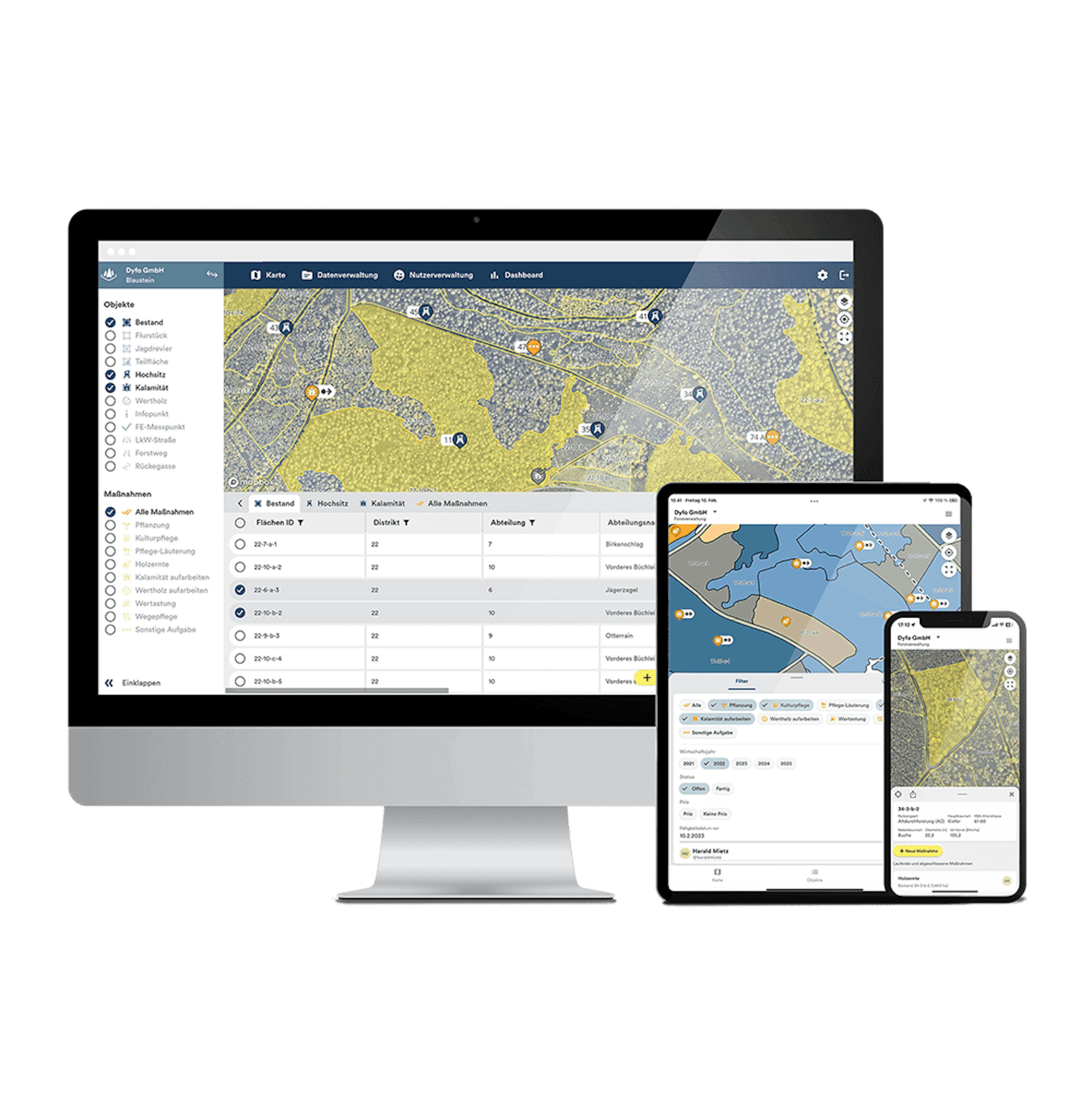 Dynamic Forest | OCELL