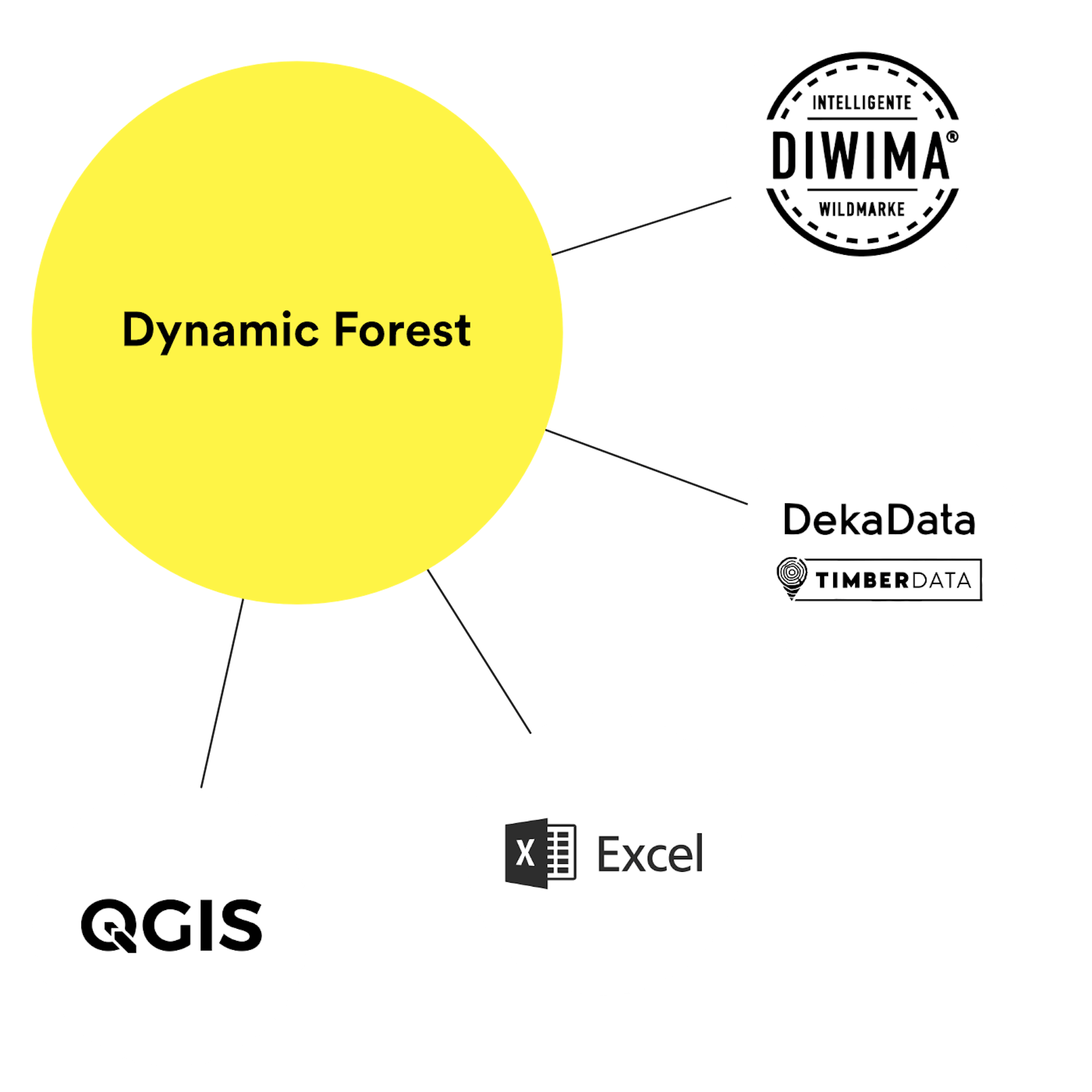 Dynamic Forest | OCELL