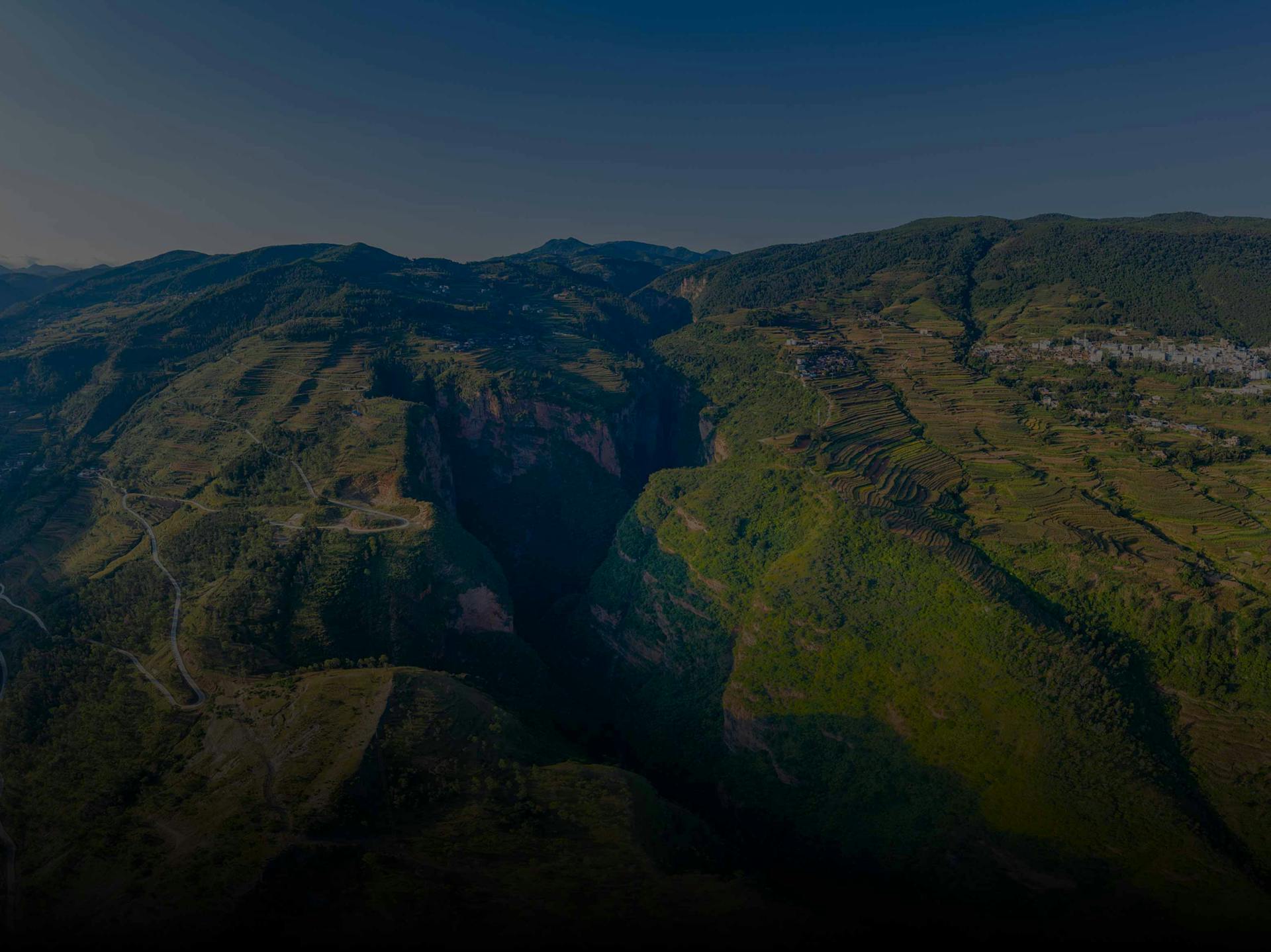 Octavia Carbon - Homepage