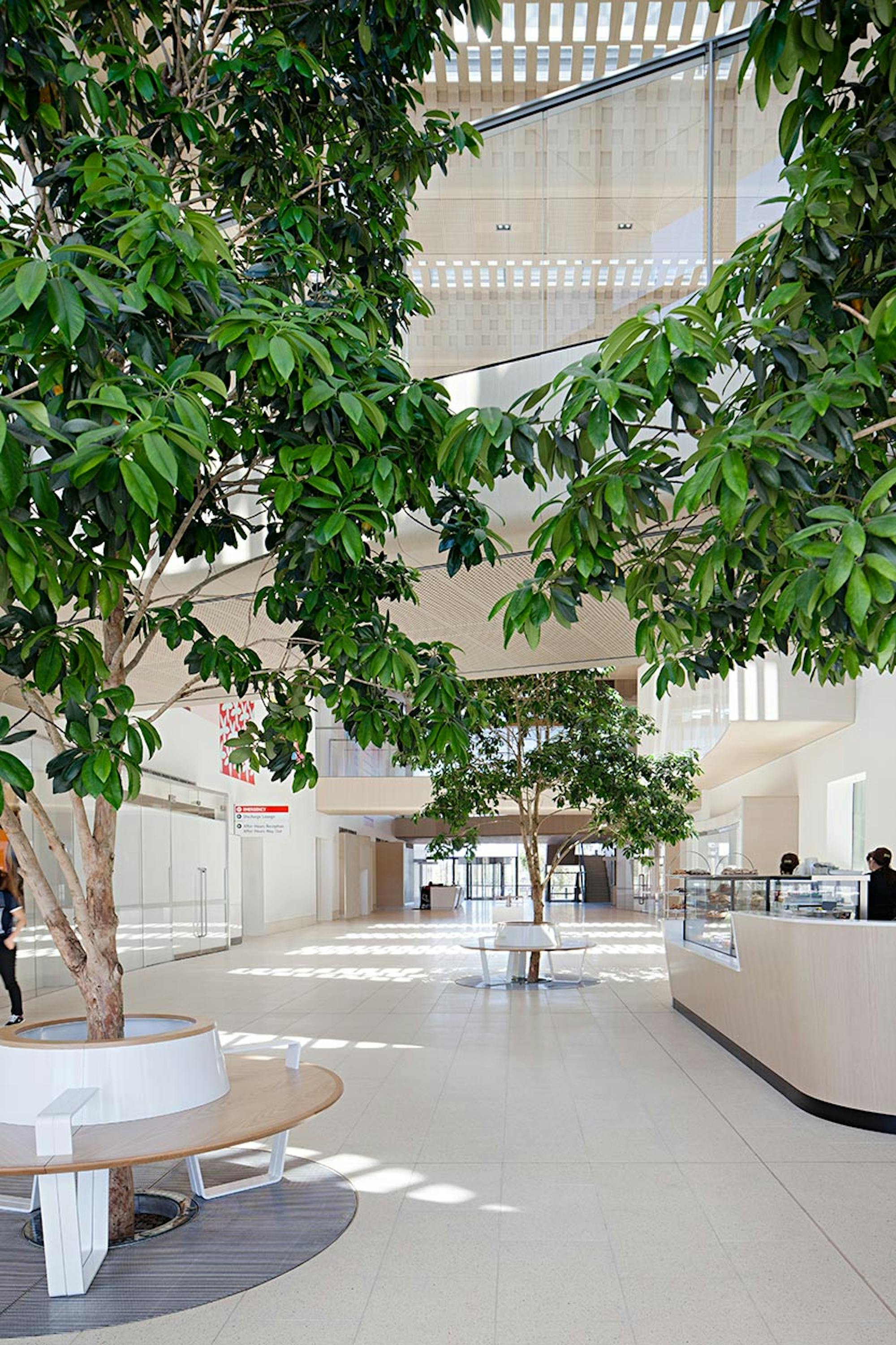 Bendigo Hospital | OCULUS