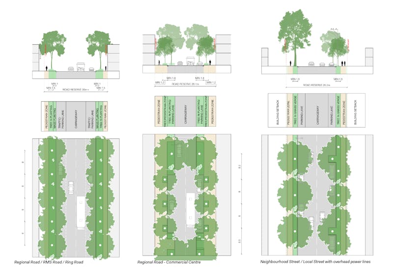 Bankstown and Campsie Urban Tree Canopy Master Plan | OCULUS
