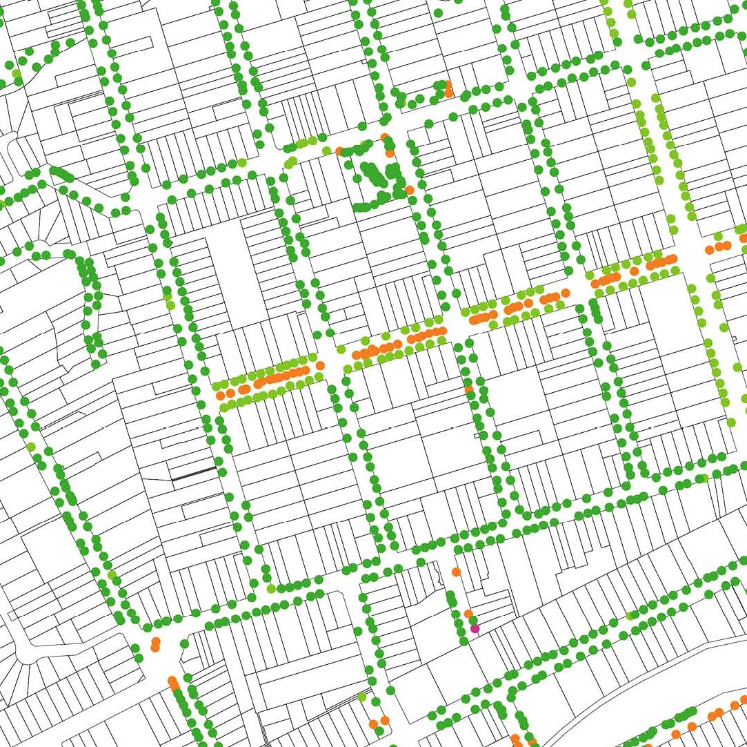 OCULUS Urban Tree Canopy Master Plan wins ShadeSmart Award | OCULUS