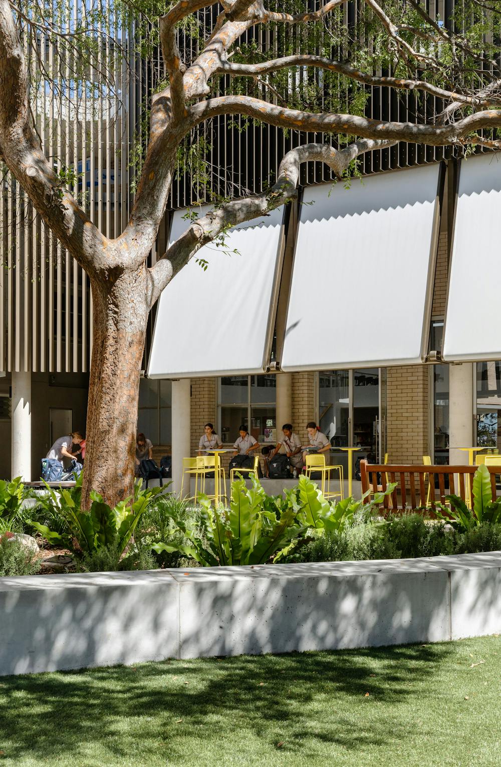 Ascham Girls School, Margaret Bailey Courtyard | OCULUS