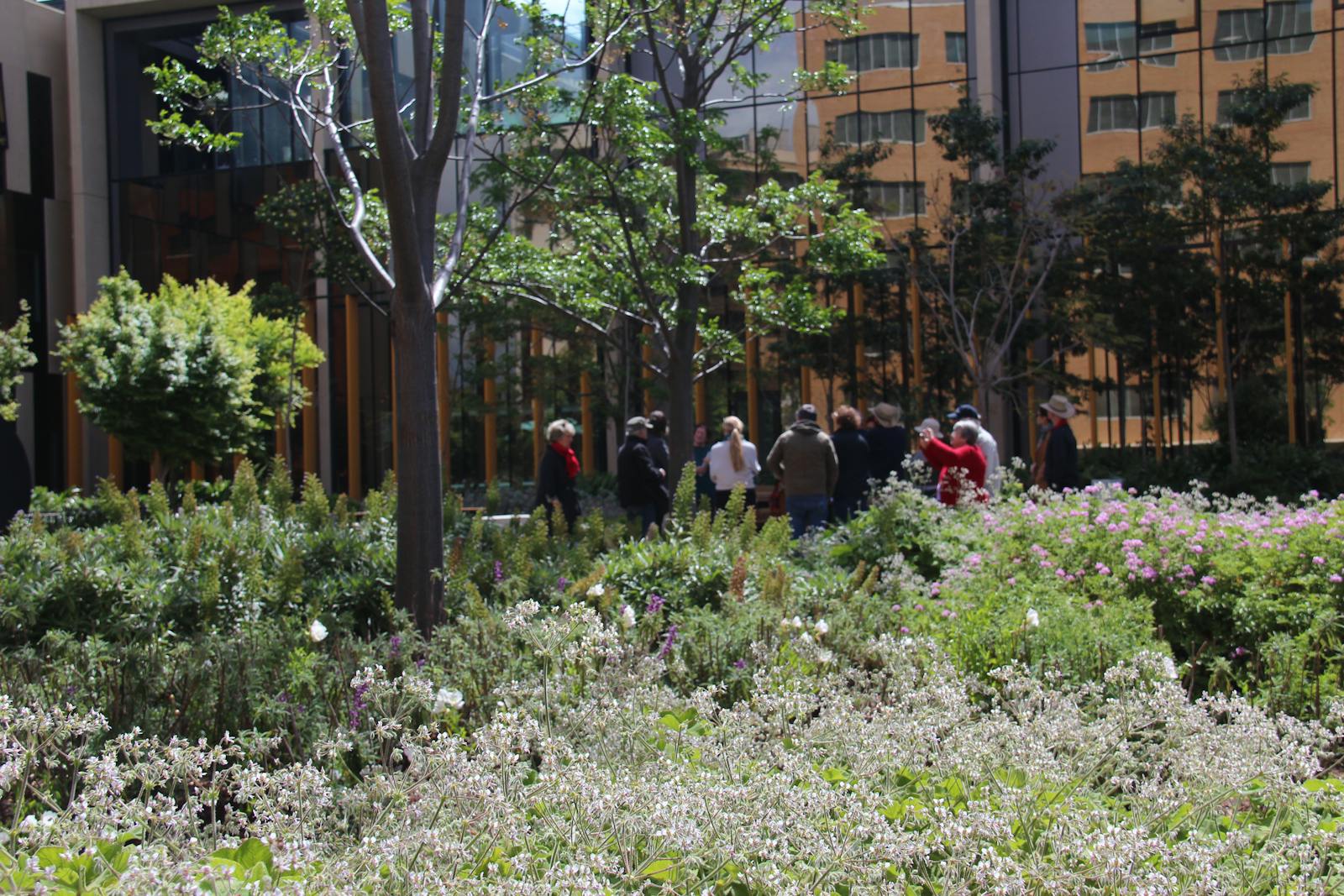 Bendigo Hospital | OCULUS