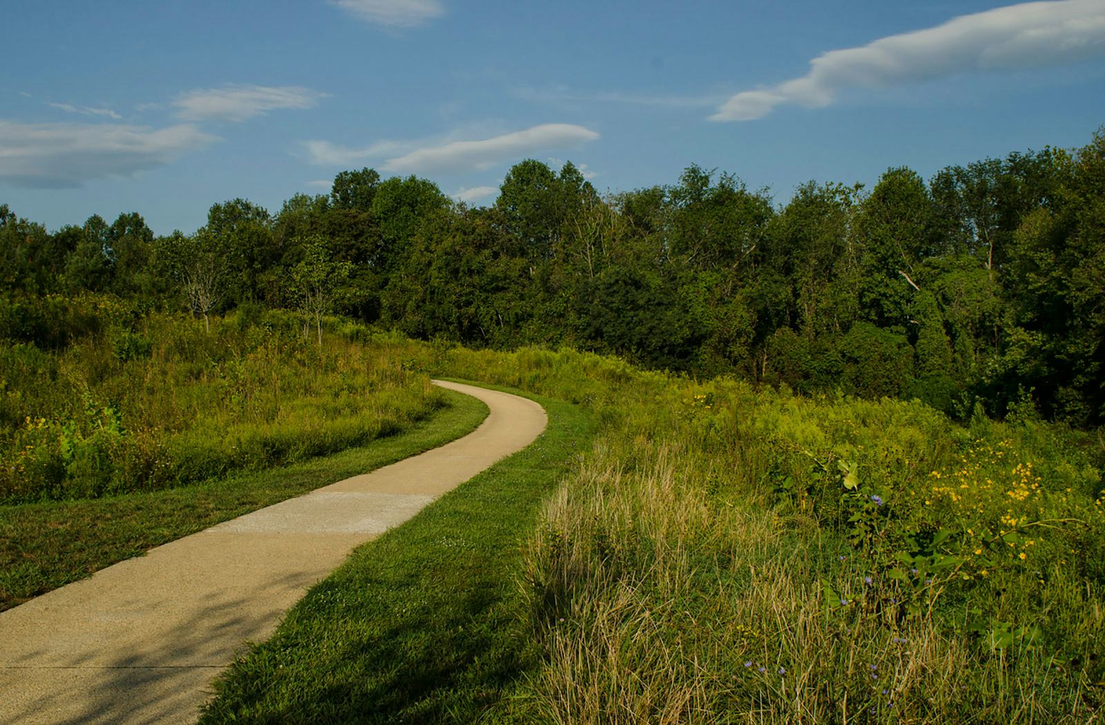 Salamander Resort | OCULUS