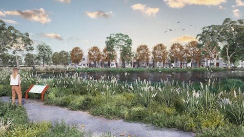 OCULUS: Landscape Architecture + Urban Design