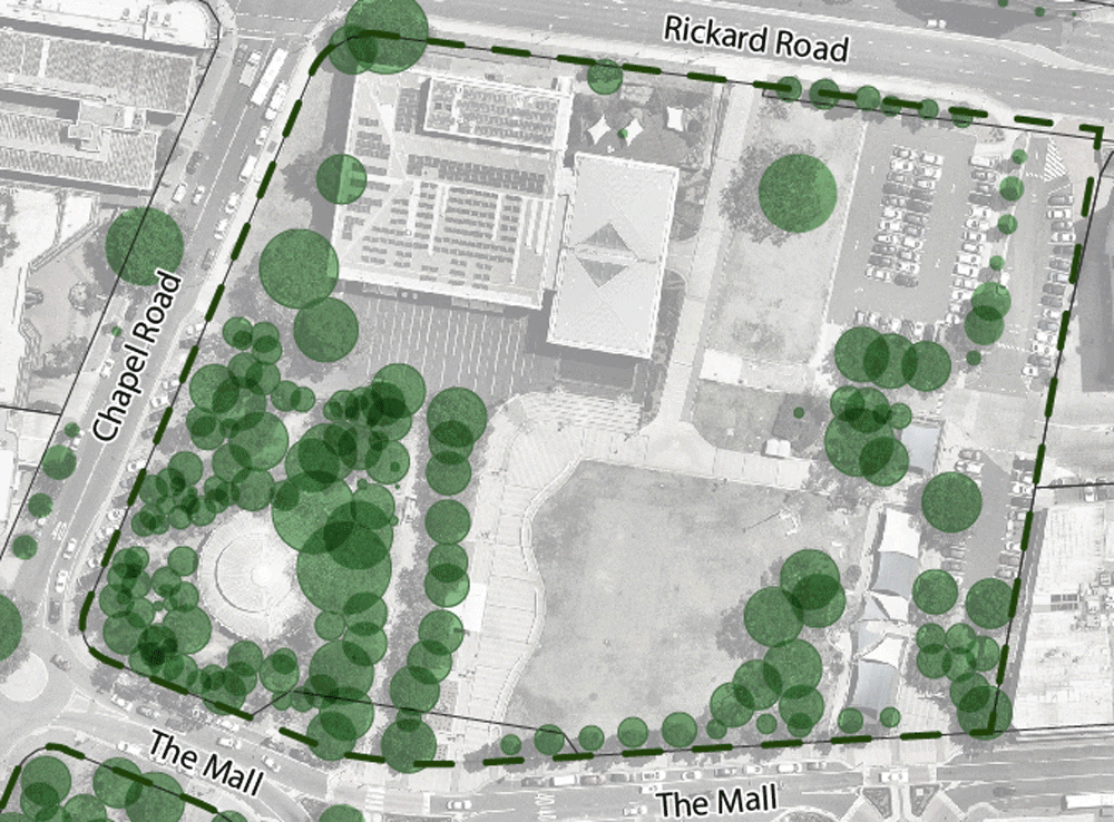 Bankstown and Campsie Urban Tree Canopy Master Plan | OCULUS