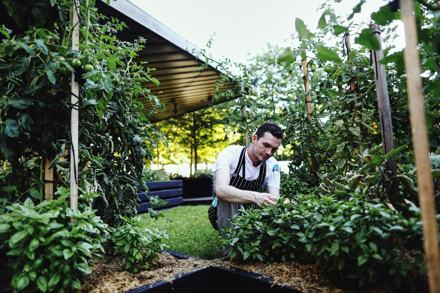 National Gallery of Victoria Sculpture Garden | OCULUS