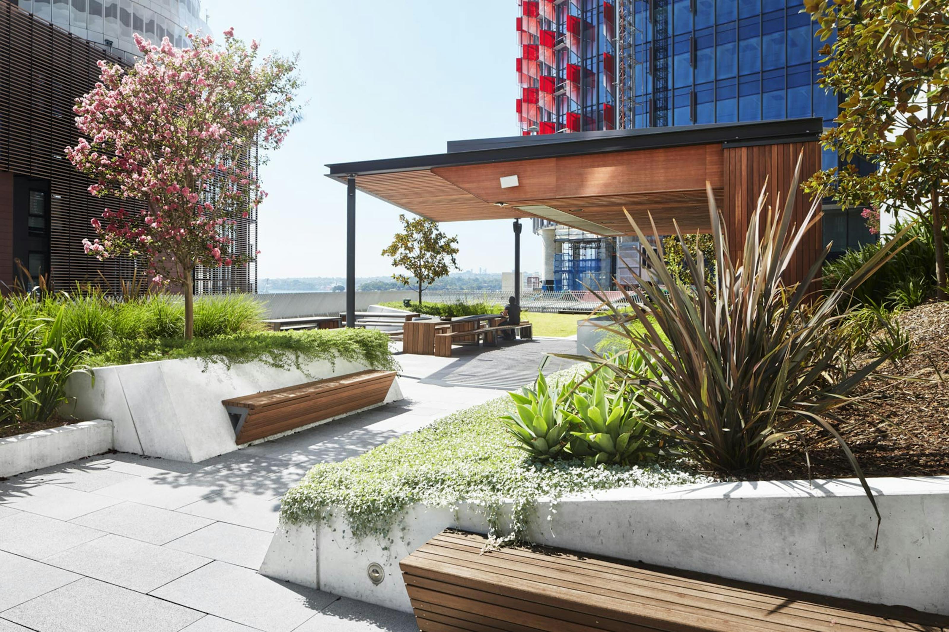 Barangaroo South Public Domain | OCULUS