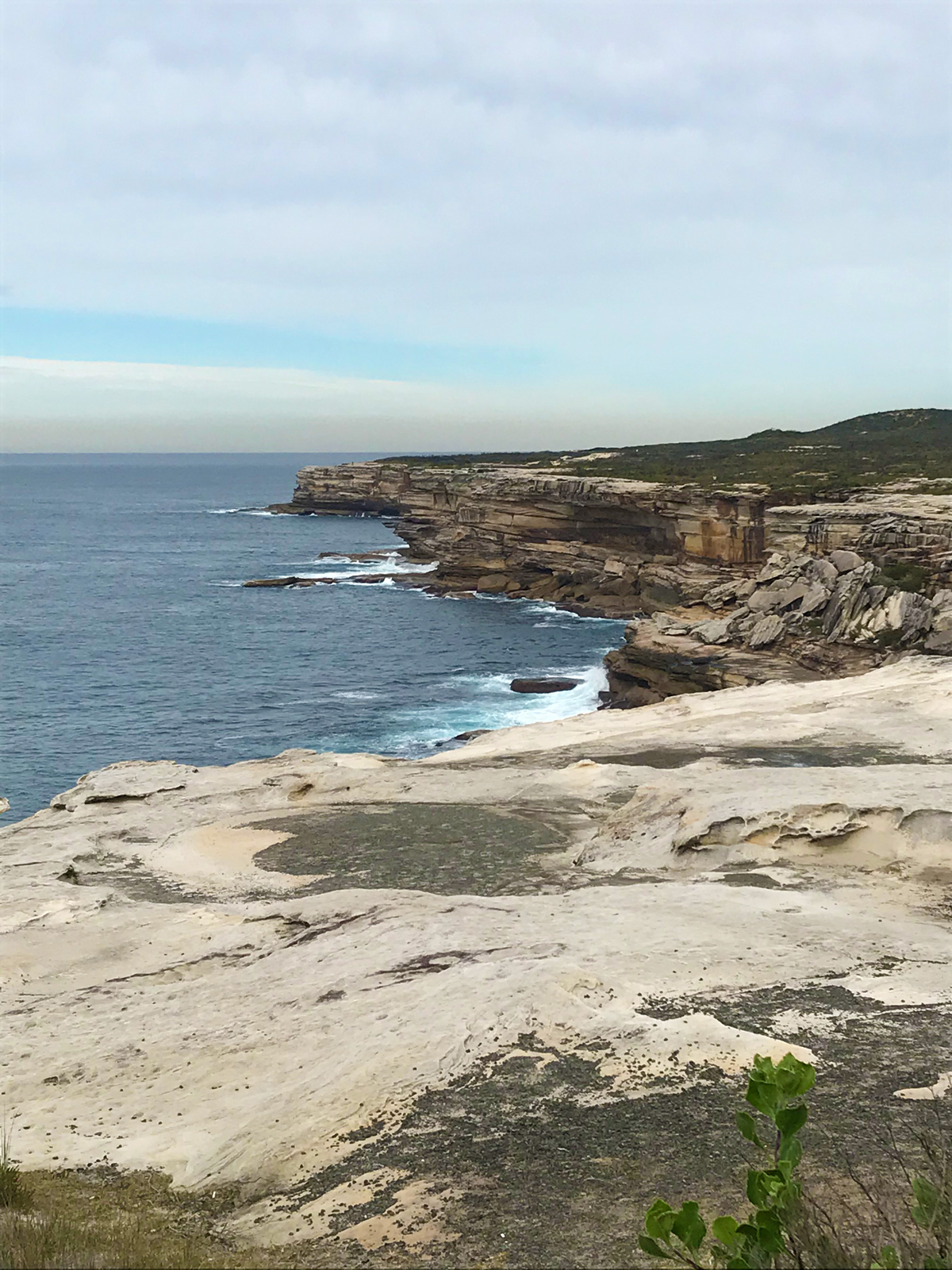 OCULUS to design and deliver new whale watching lookout at spectacular ...