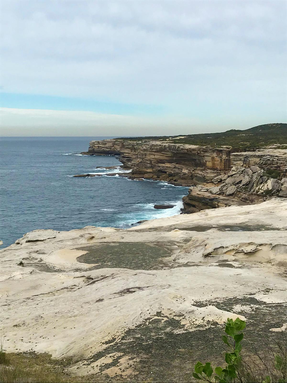 OCULUS to design and deliver new whale watching lookout at spectacular ...