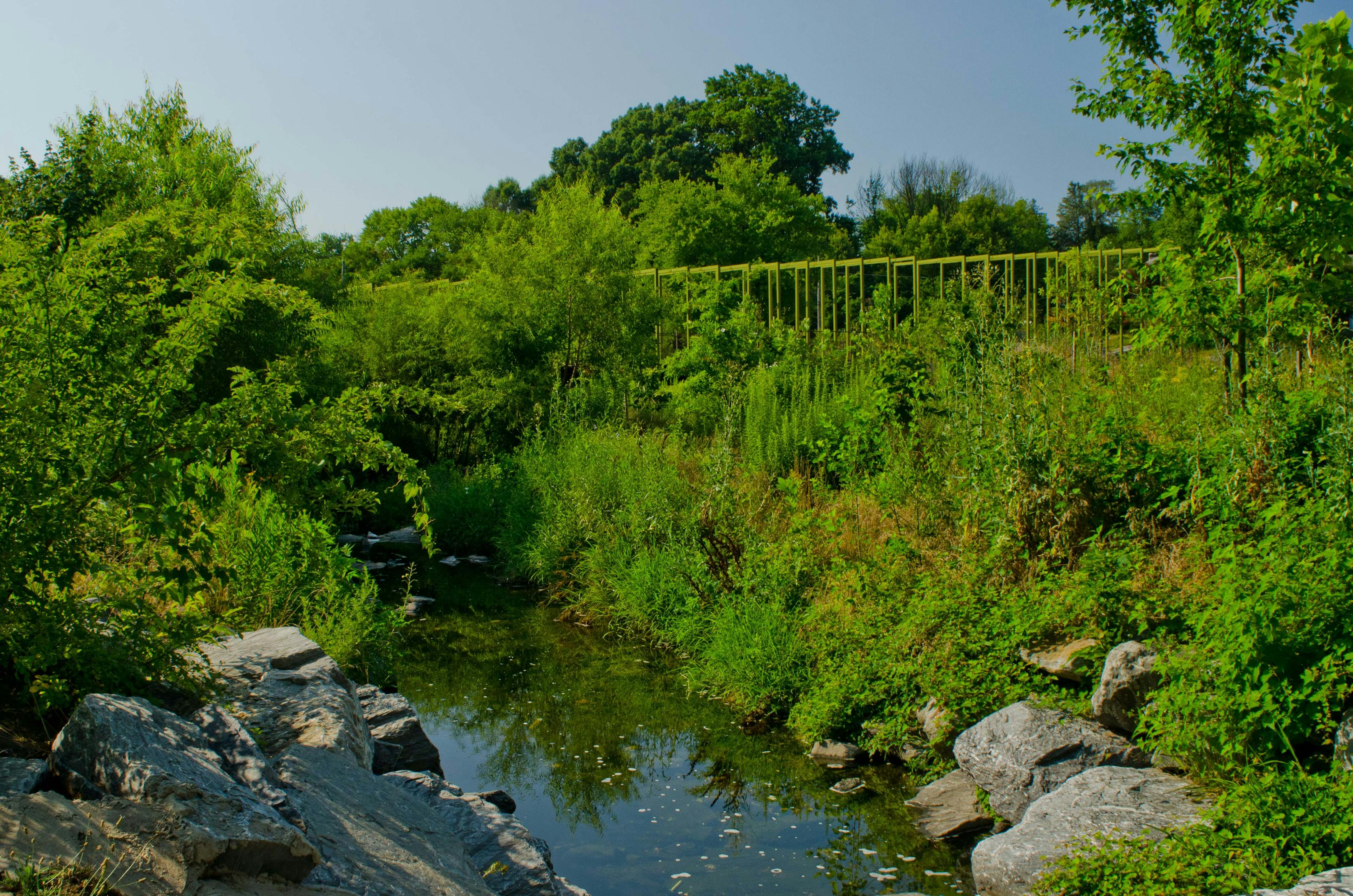 Evans Parkway Park | OCULUS