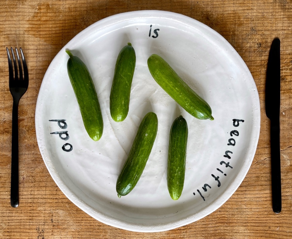 6 tasty ways to use cucumbers | Oddbox
