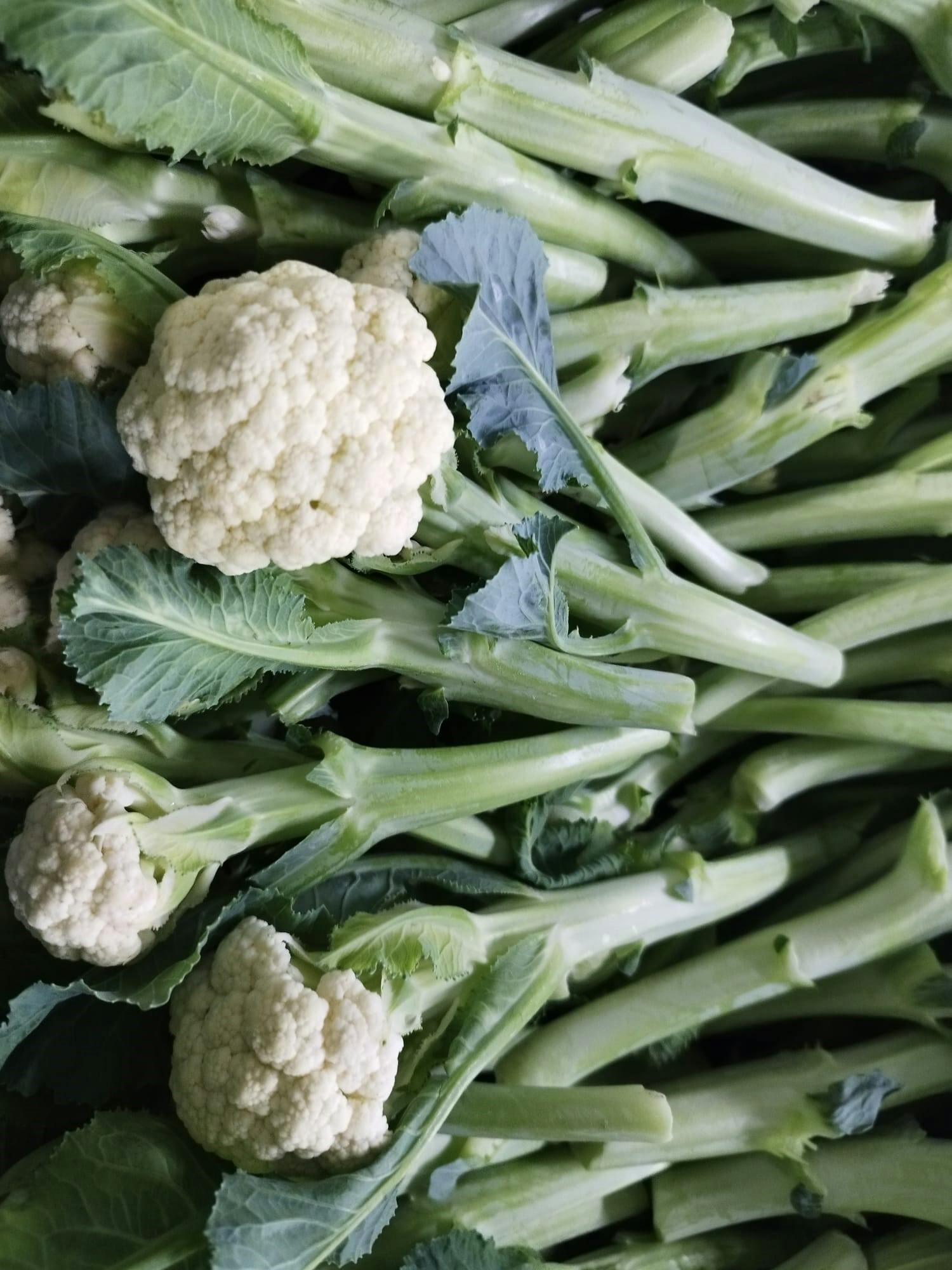 Good golly, it’s a new type of cauli!