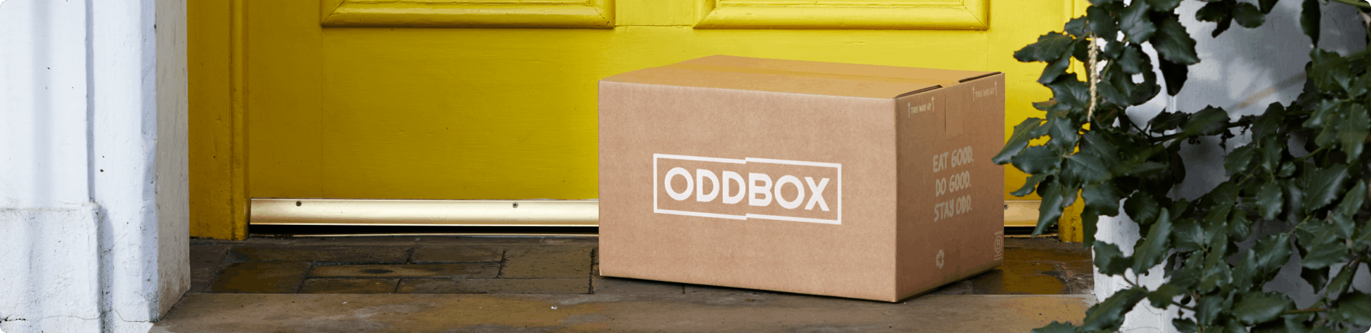 Oddbox - Eat good. Do good.