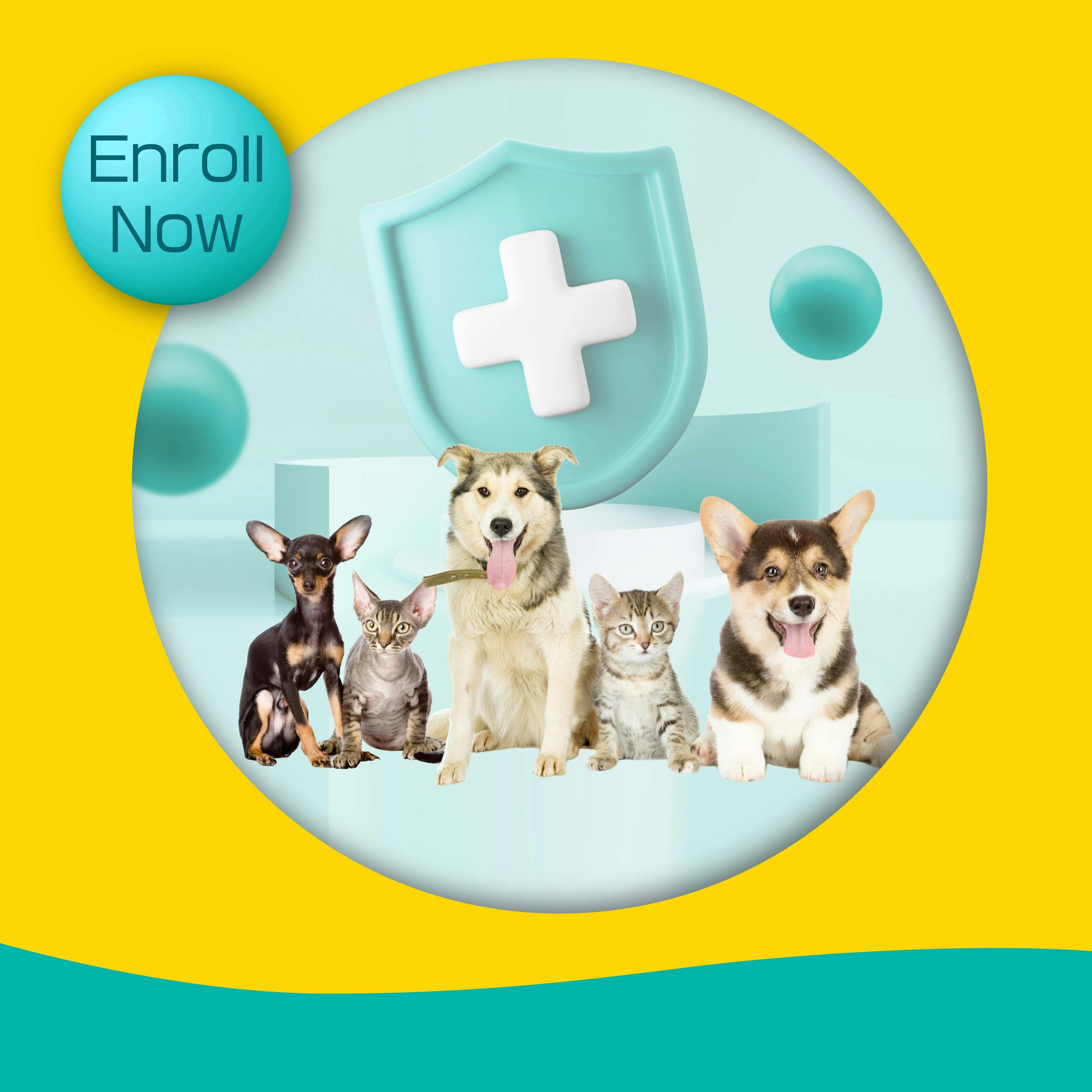 Special Offers & Promotions Pet Insurance OneDegree