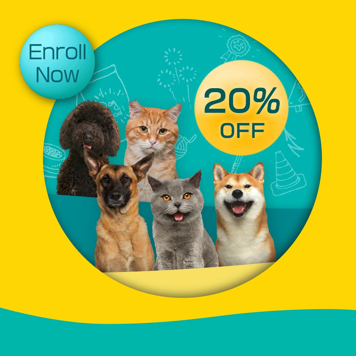 Special Offers & Promotions Pet Insurance OneDegree