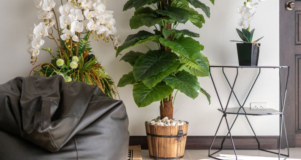 Artificial Plants to Liven up your House
