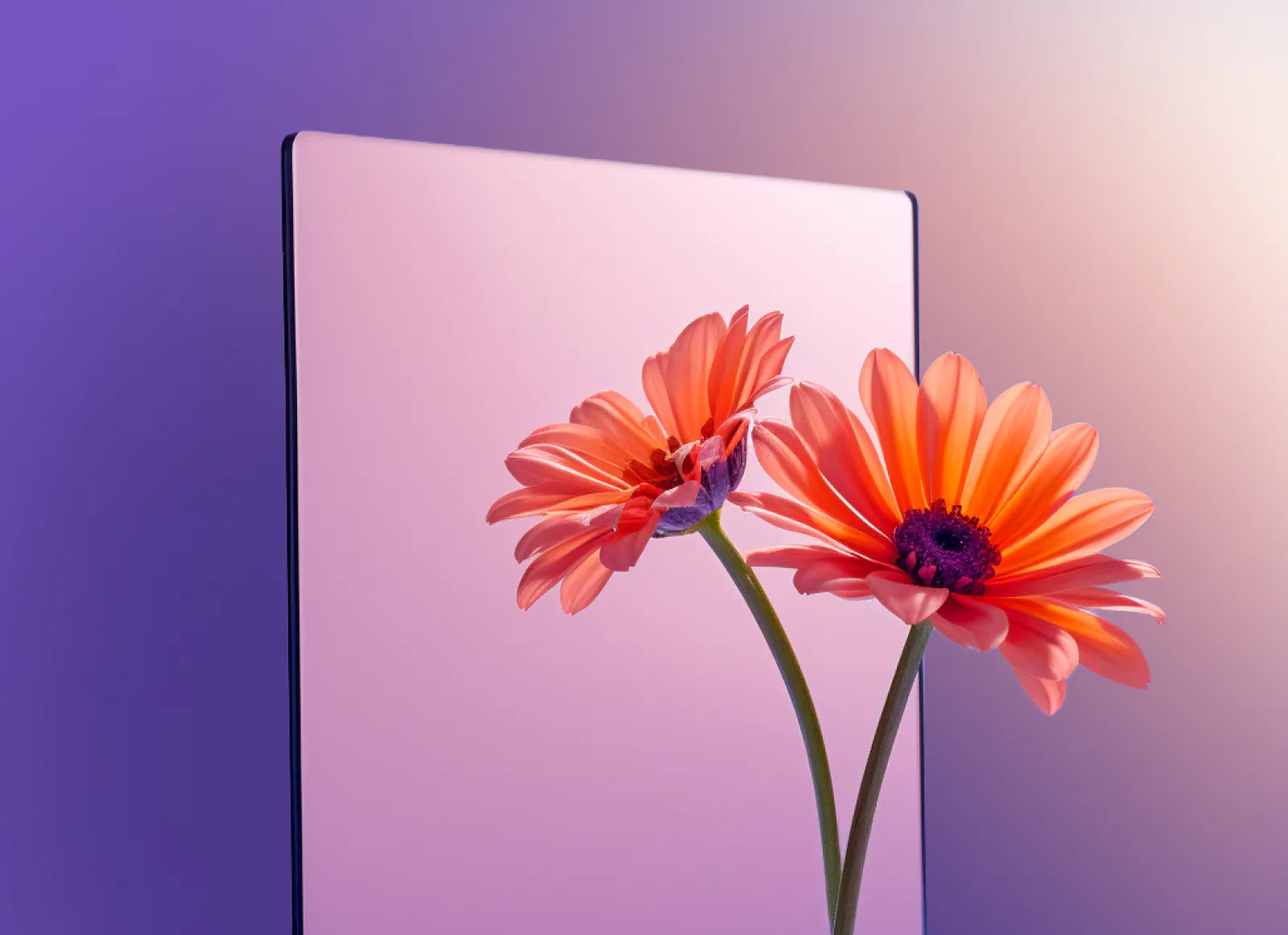 Blog | Virtual Manager Training Programs: A Framework for Lasting ...