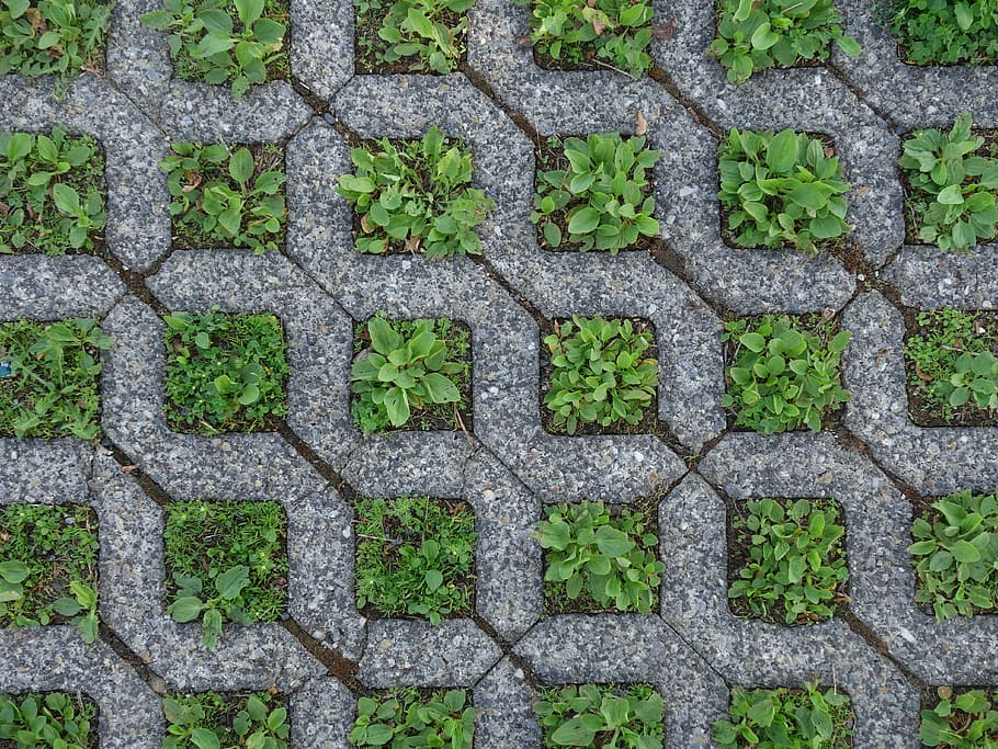 The Green Guide: How to Properly Maintain Your Grass Block Pavers