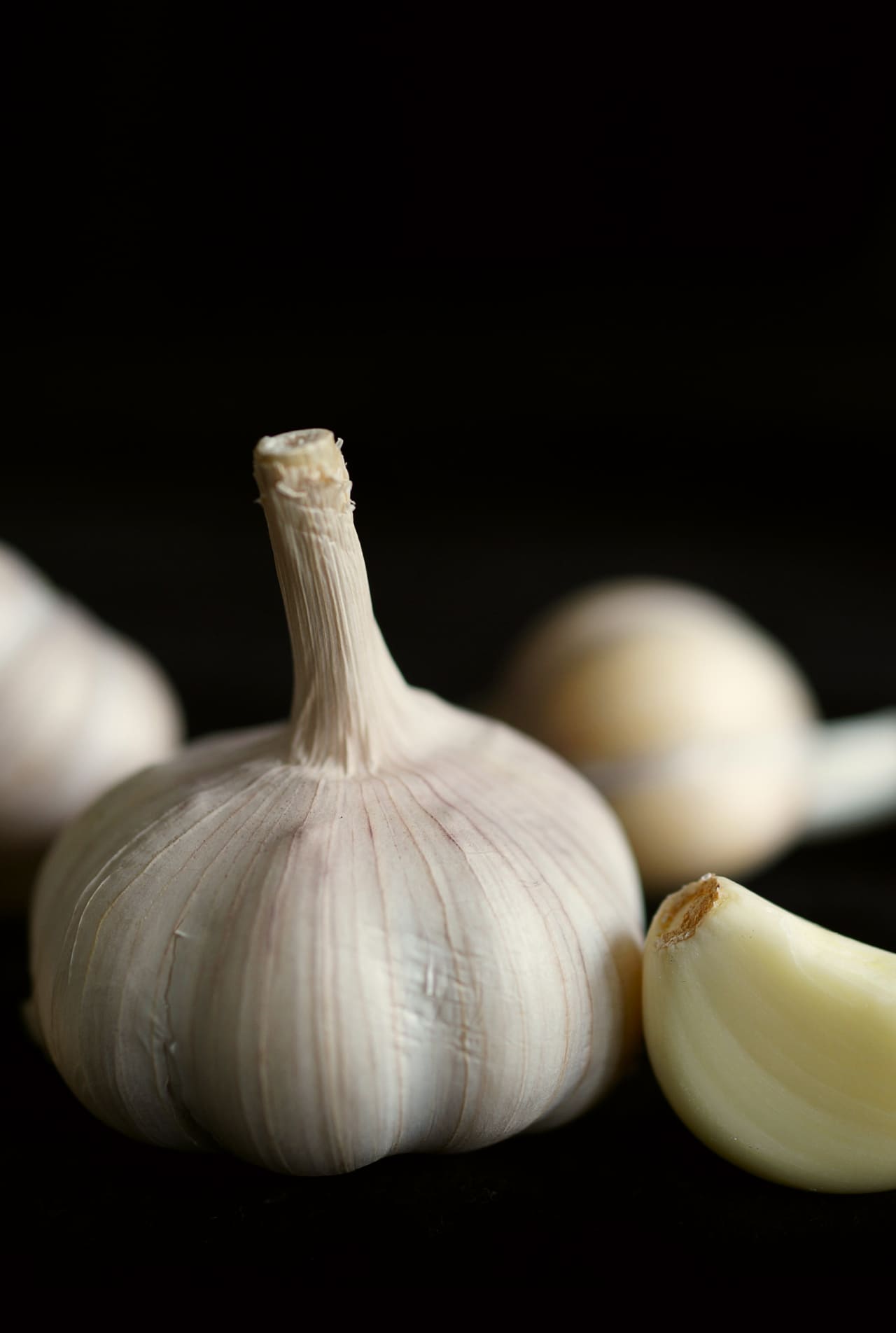 Ail - Onatera.com