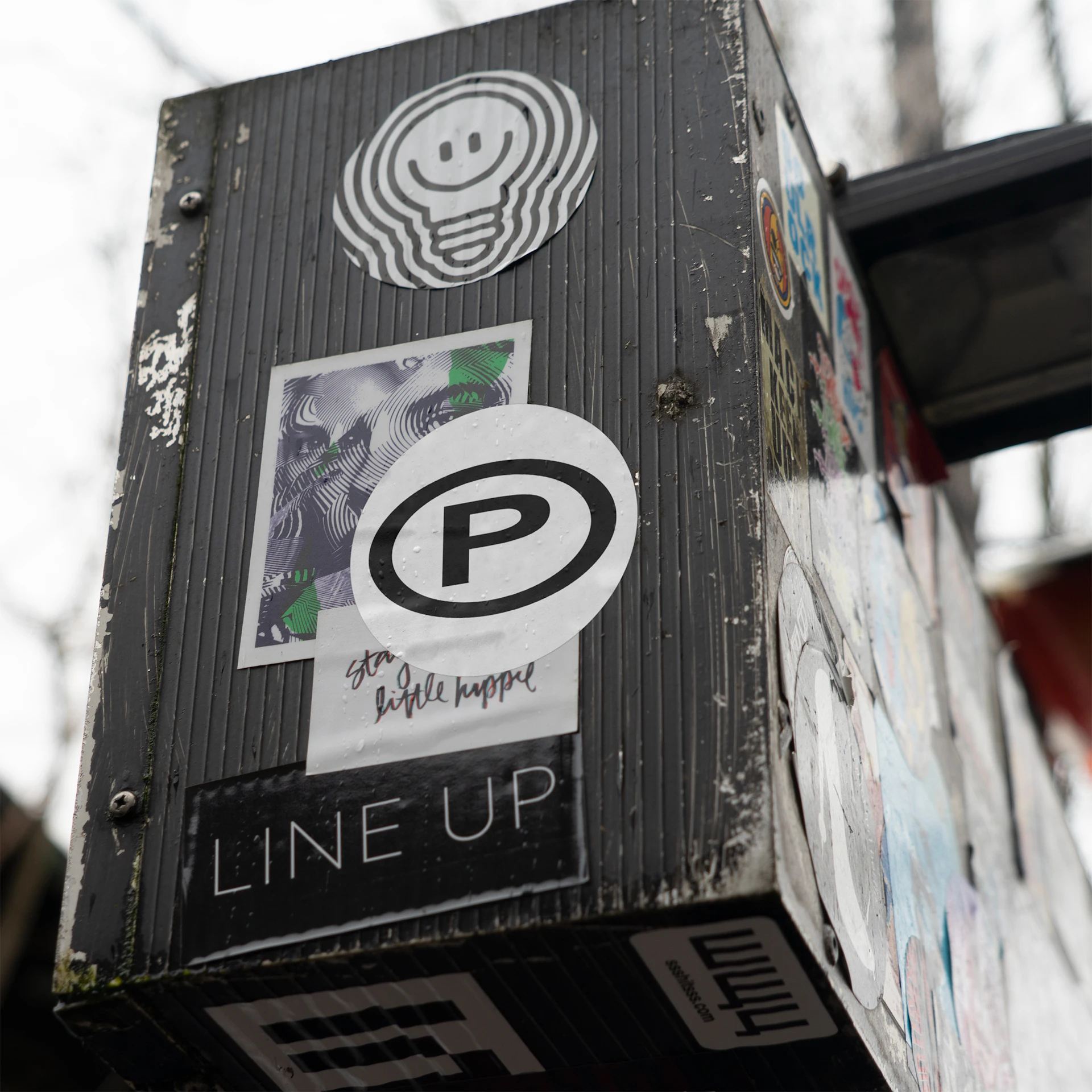 Pirate brand identity and campaign | Only Studio