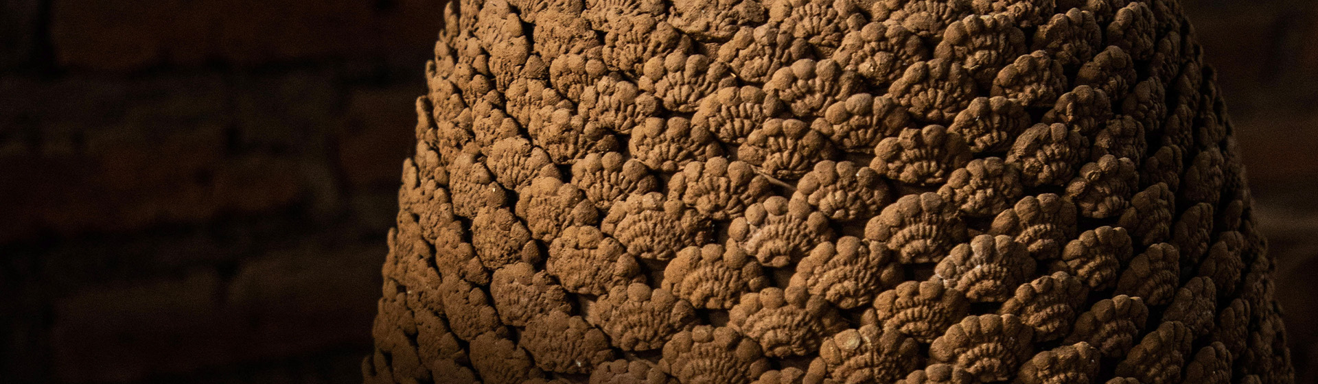 Pastillaje – ONORA