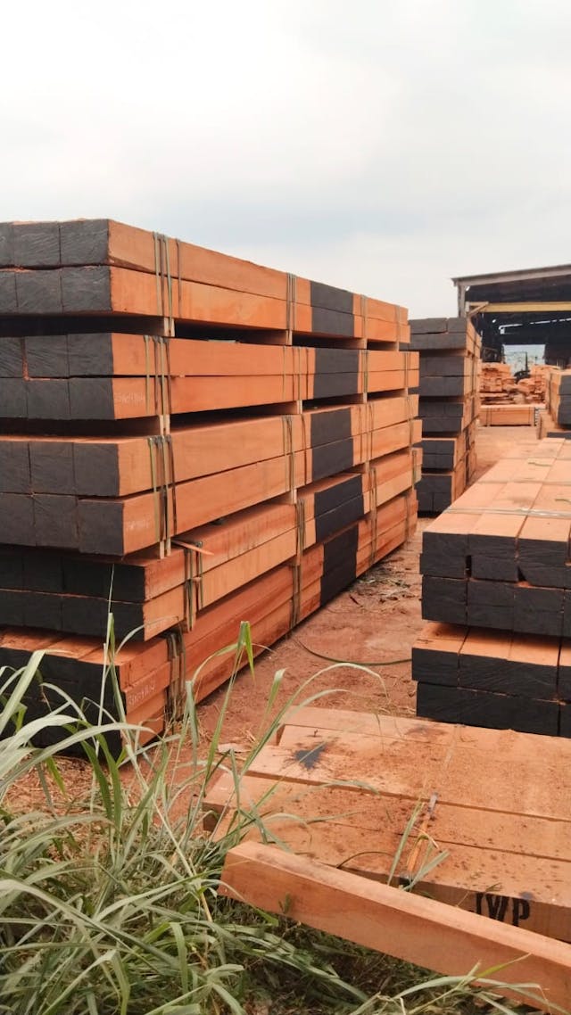 Timber Species | Global Hardwood Collection | OPS Forestry