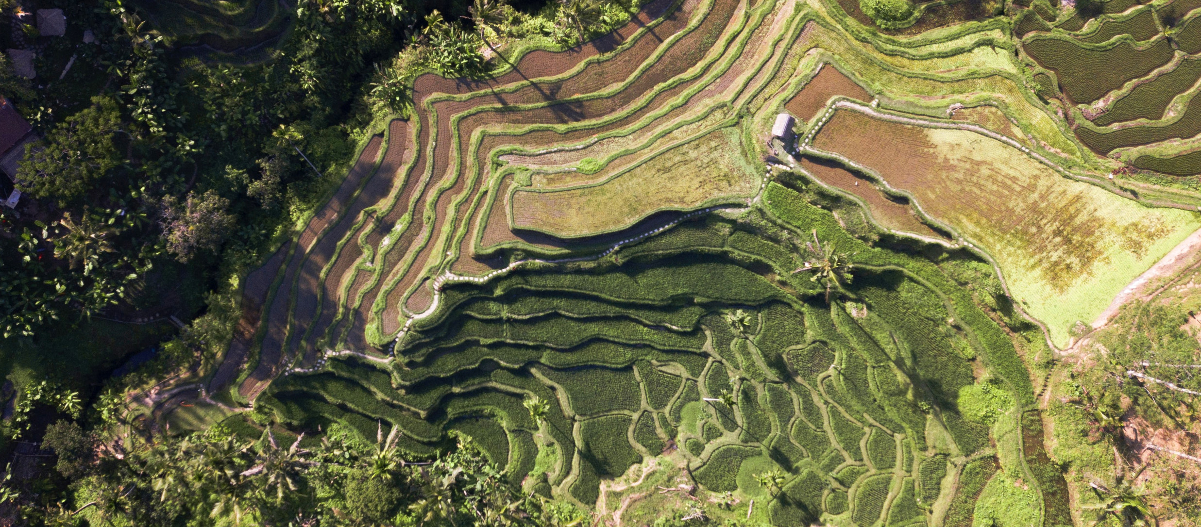 Solutions - Orbital Sidekick