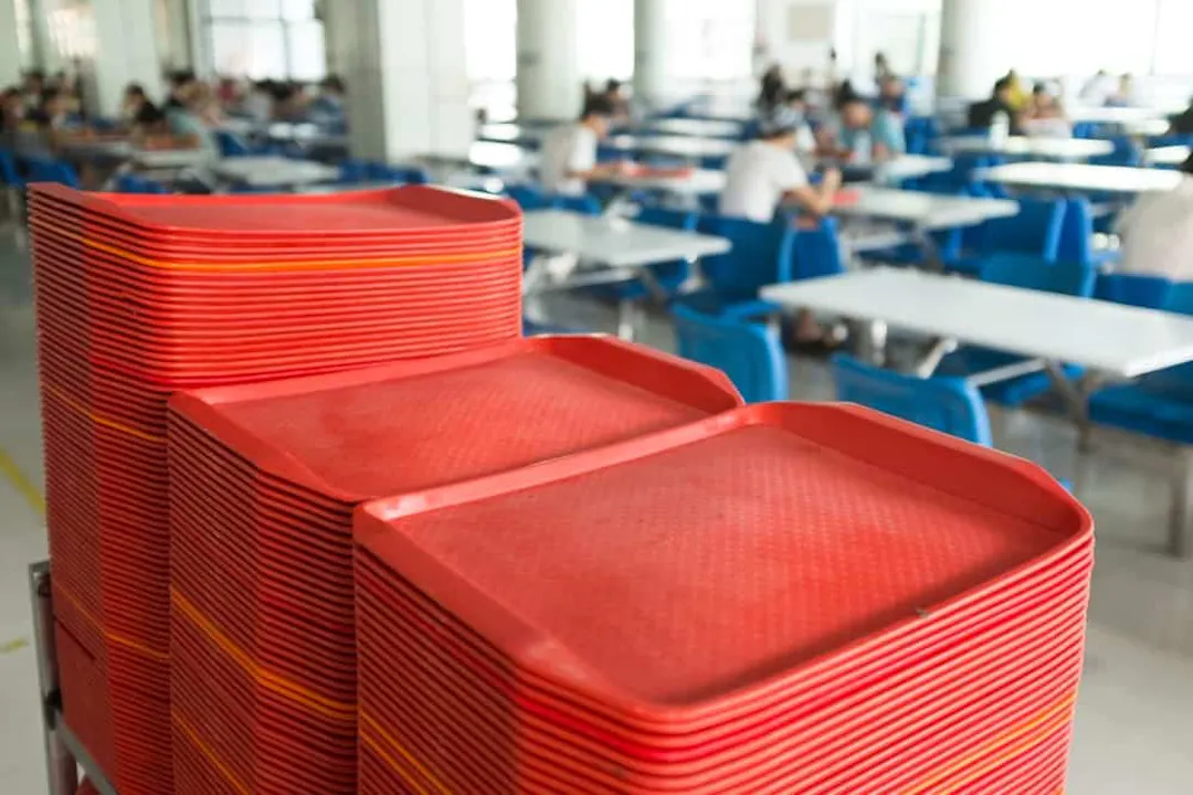 Top 3 Food Service Equipment Providers For Wholesale Cafeteria Trays ...