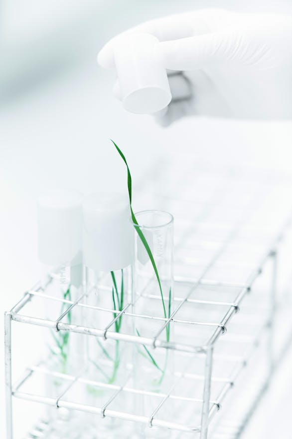 ORF Genetics - About Us