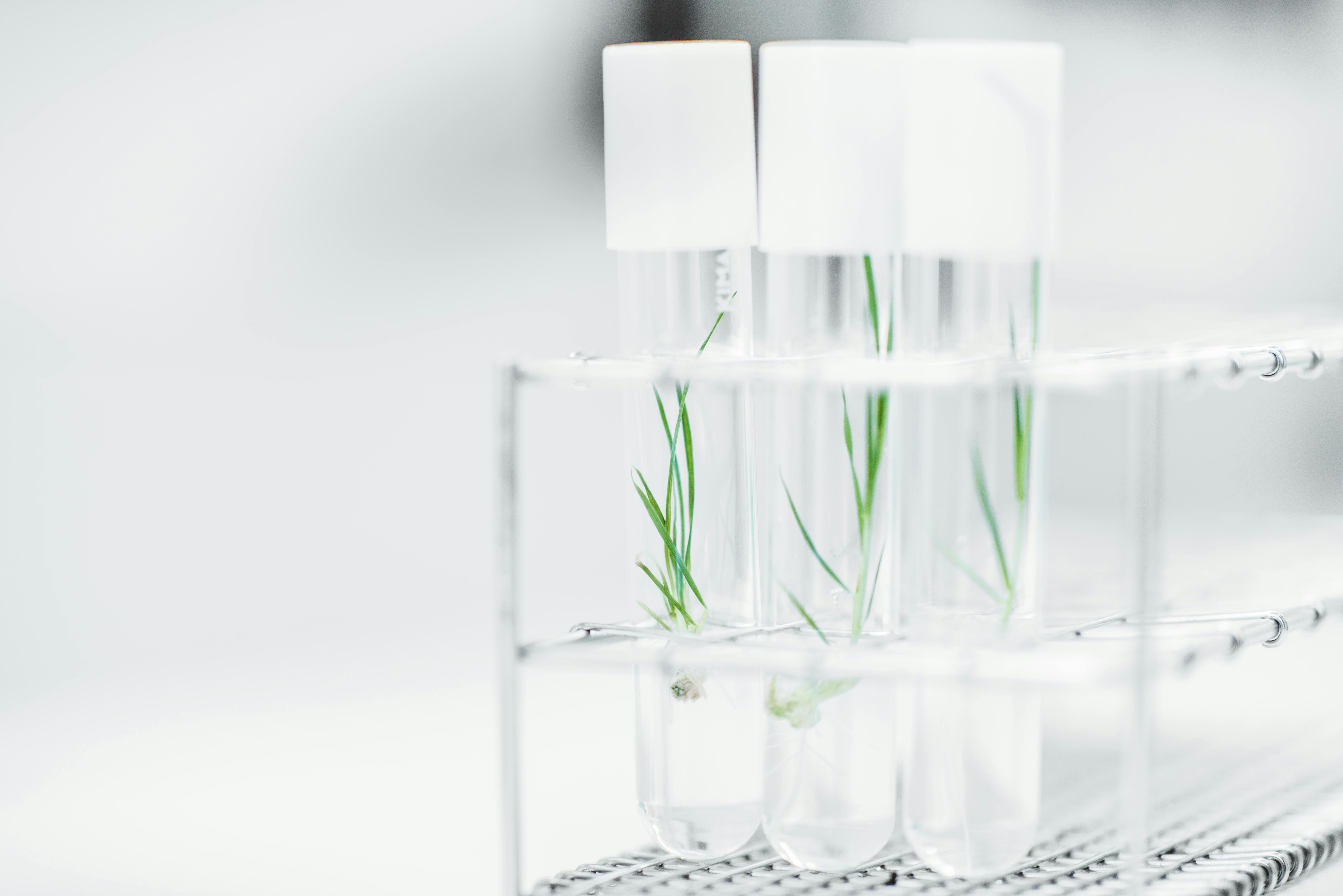 ORF Genetics - Purification Technology