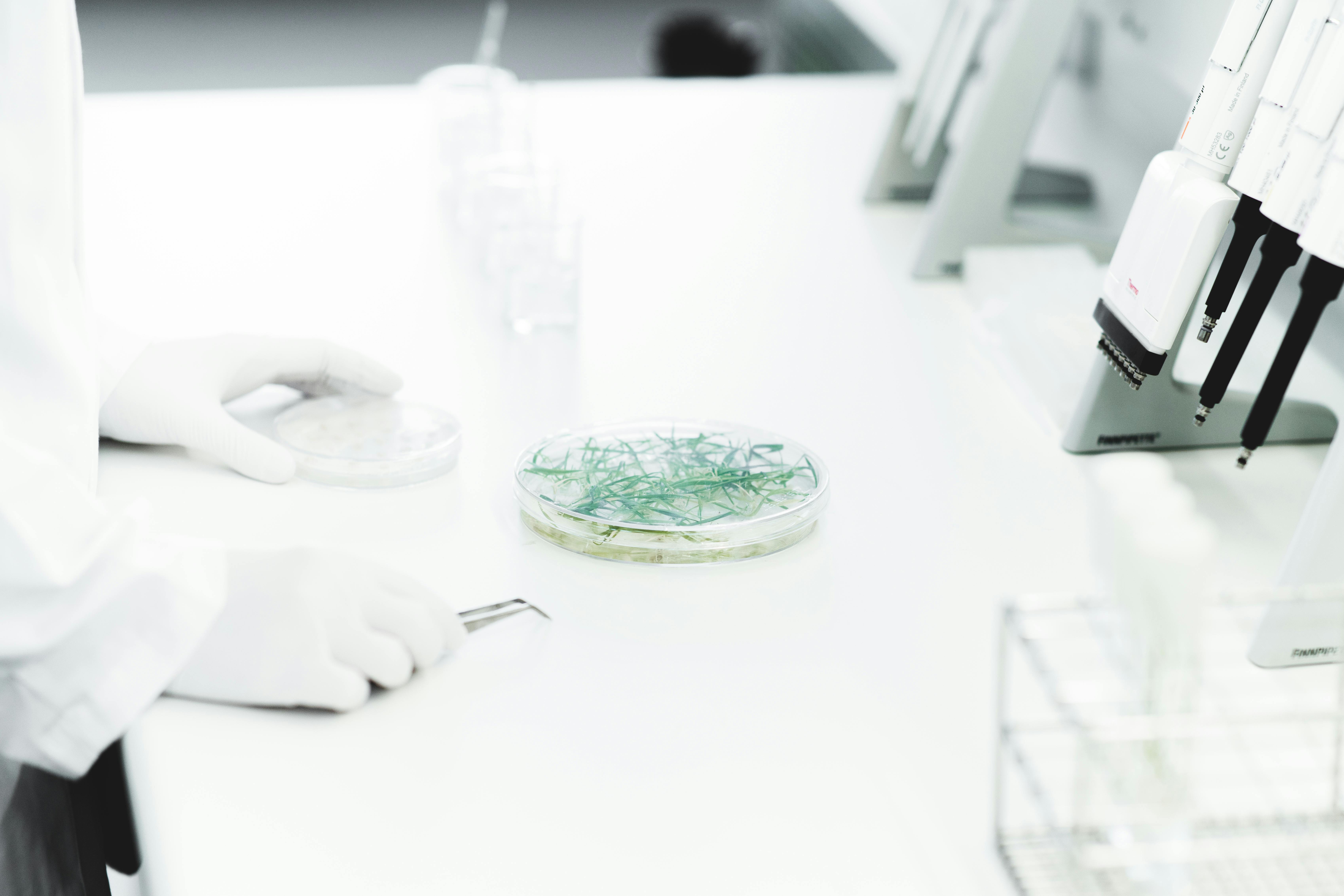 ORF Genetics - ORFEUS Expression System