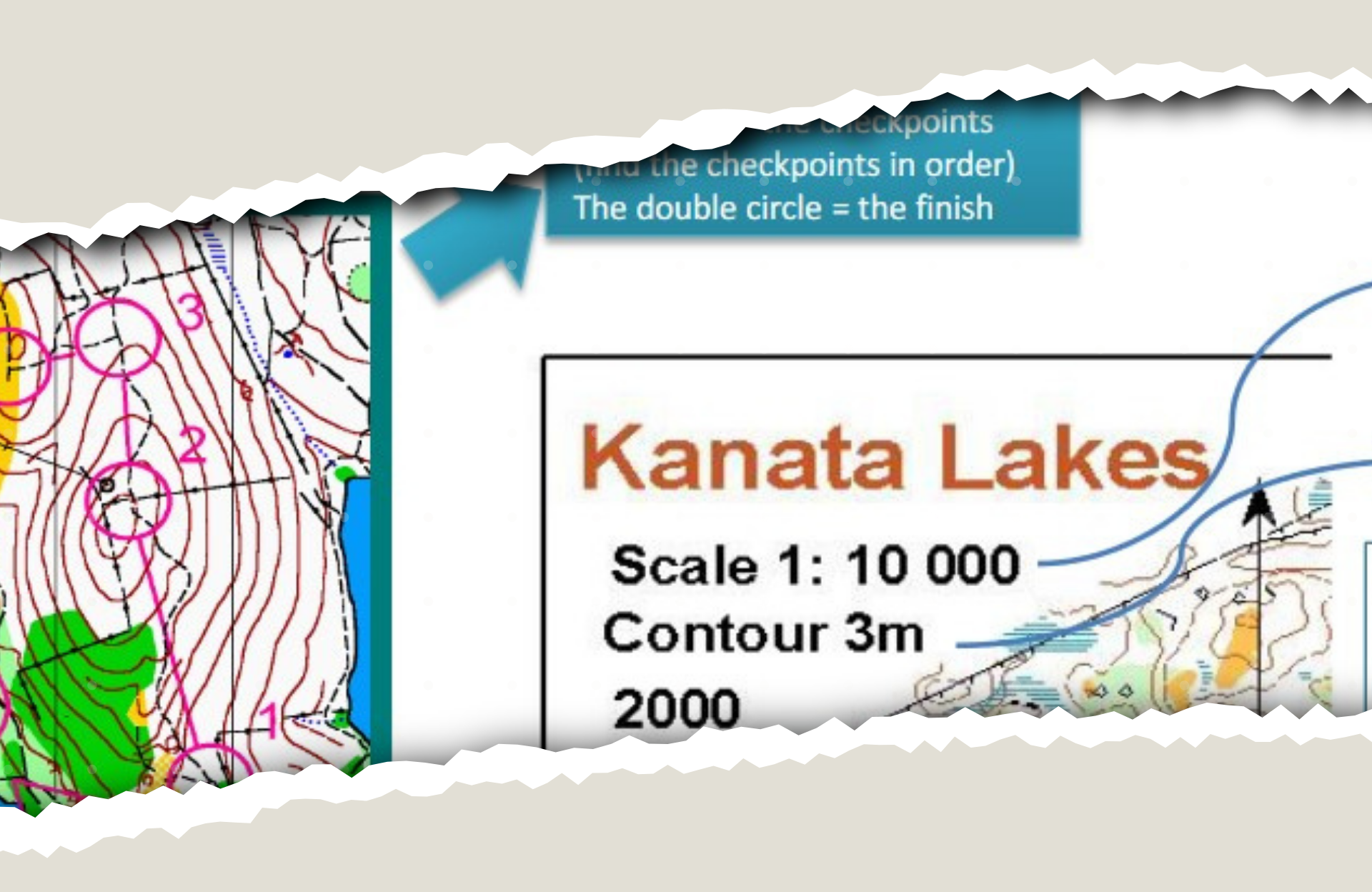 Orienteering Canada - All About Orienteering Info Sheet