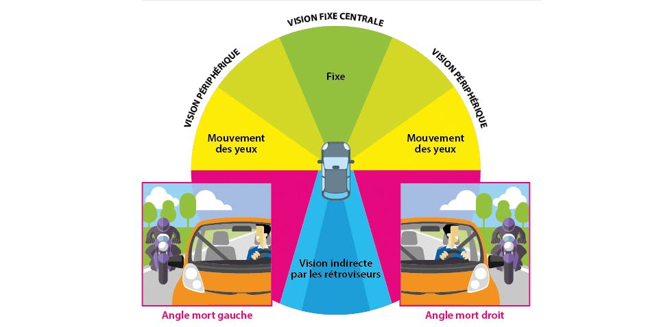 Le champ visuel : fonctionnement et limites - Ornikar Le champ visuel : fonctionnement et limites - Ornikar