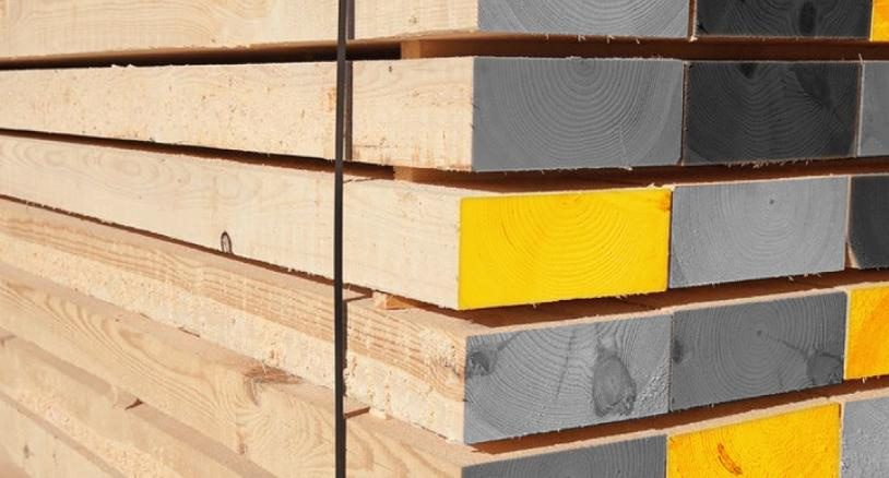 Streamlining Logistics Efficiency: An Interview with TABS Holland