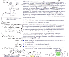 Highlighting and annotating: Note-taking techniques | Help Centre | The ...