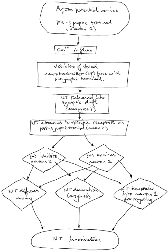 Line diagrams and system maps: Note-taking techniques | Help Centre ...