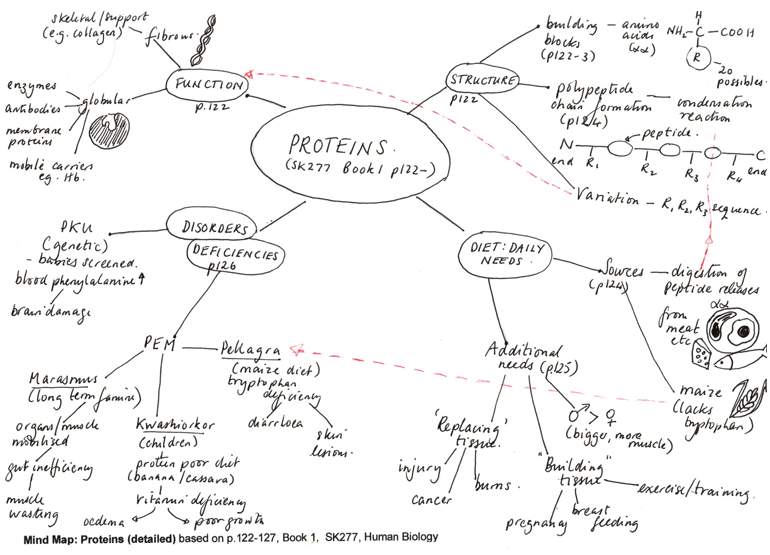 Mind maps: Note-taking techniques | Help Centre | The Open University