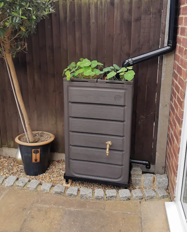 Our Rainwater - Thames Water Rain Planter