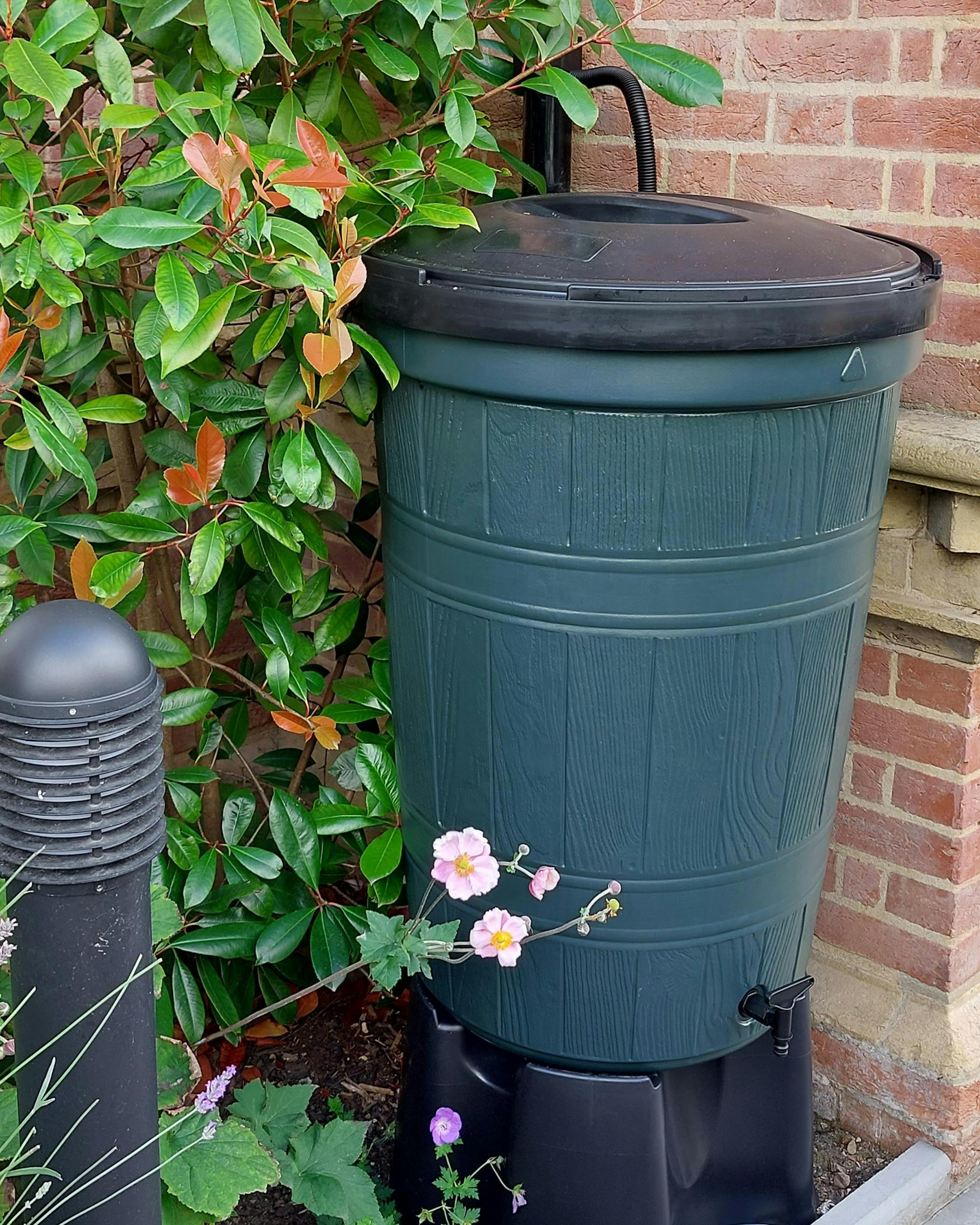 Our Rainwater - Southern Water slow-release water butt