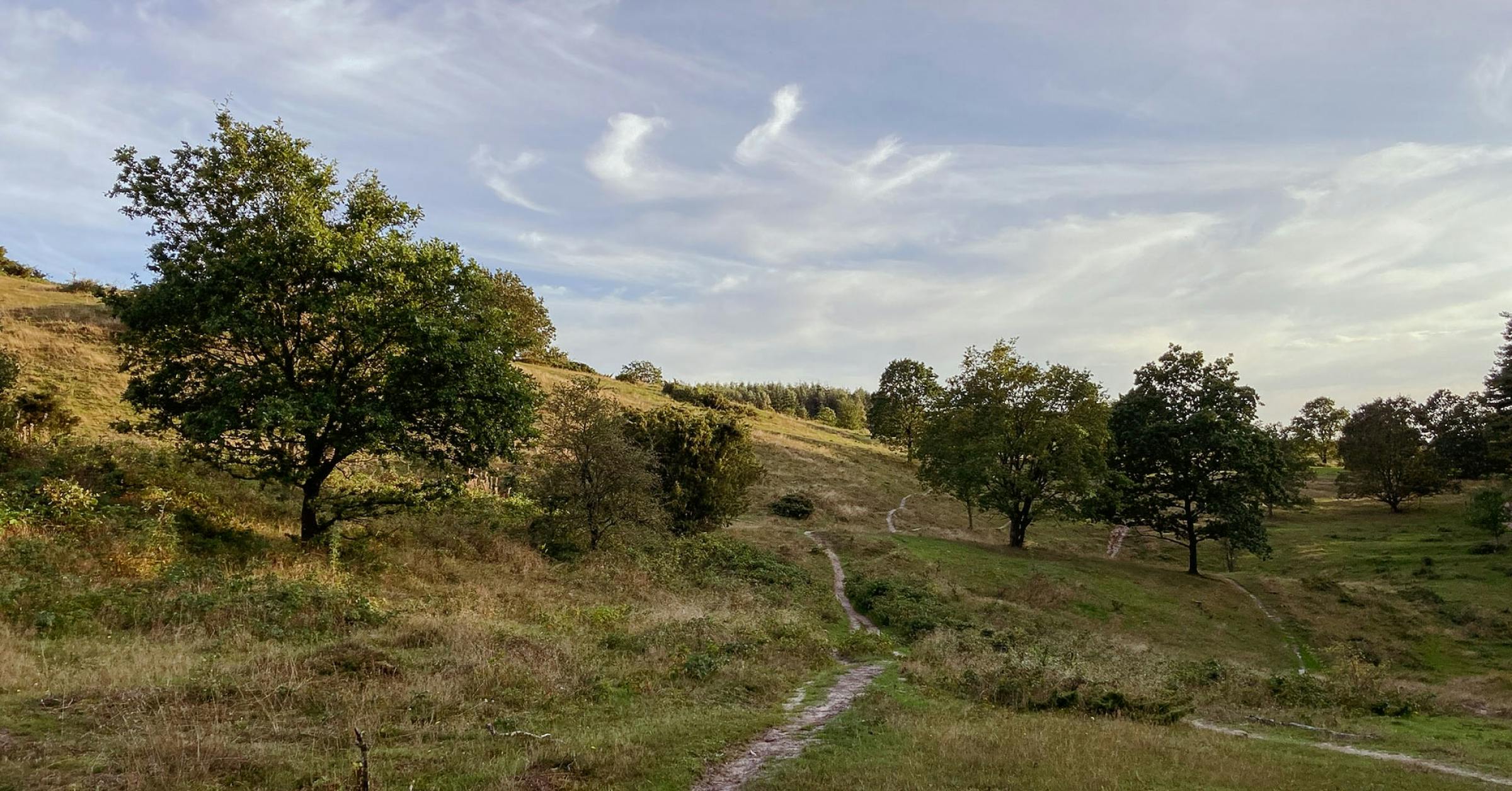 Oplev Mols Bjerge | Owayy