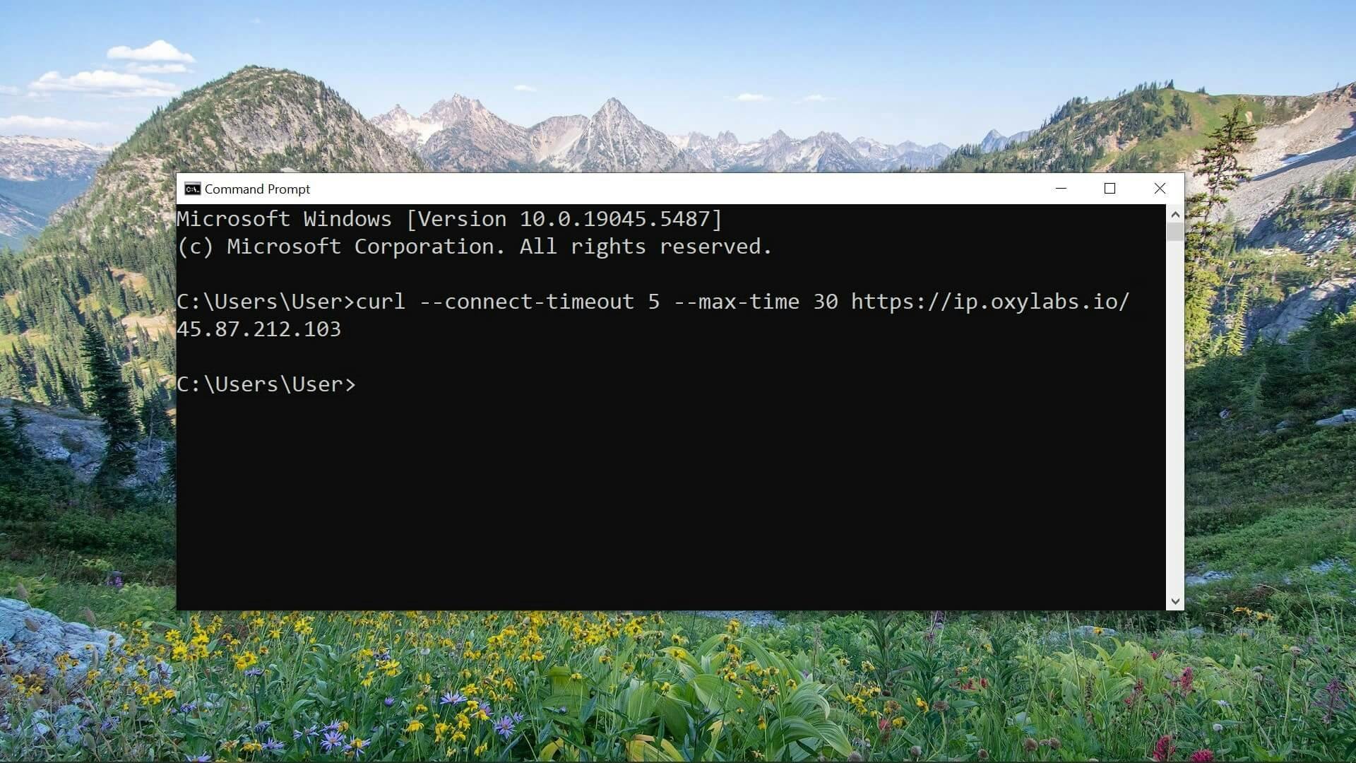 How to Use Timeouts With cURL Requests? How to Use Timeouts With cURL Requests?