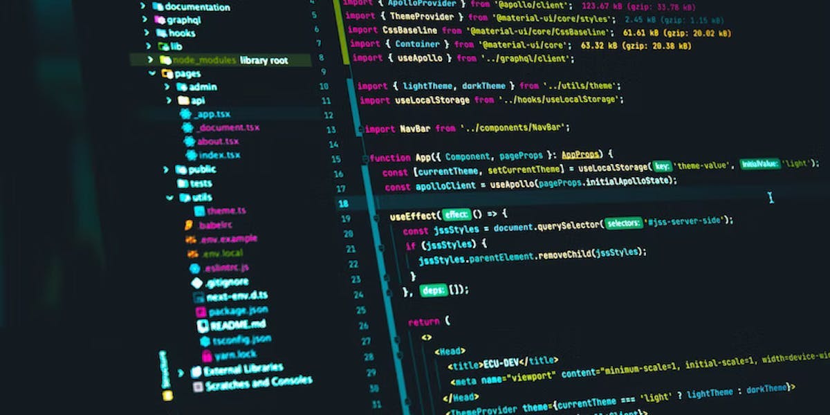 Best Programming Languages for Effective Web Scraping