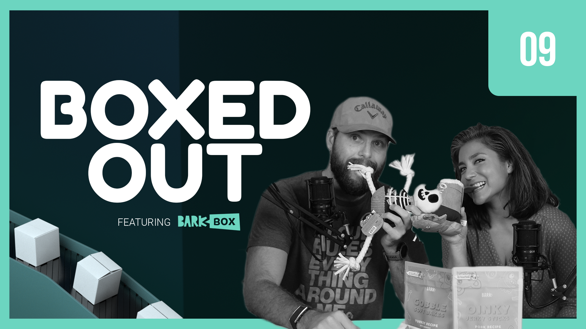 Can BarkBox's retention get any better?