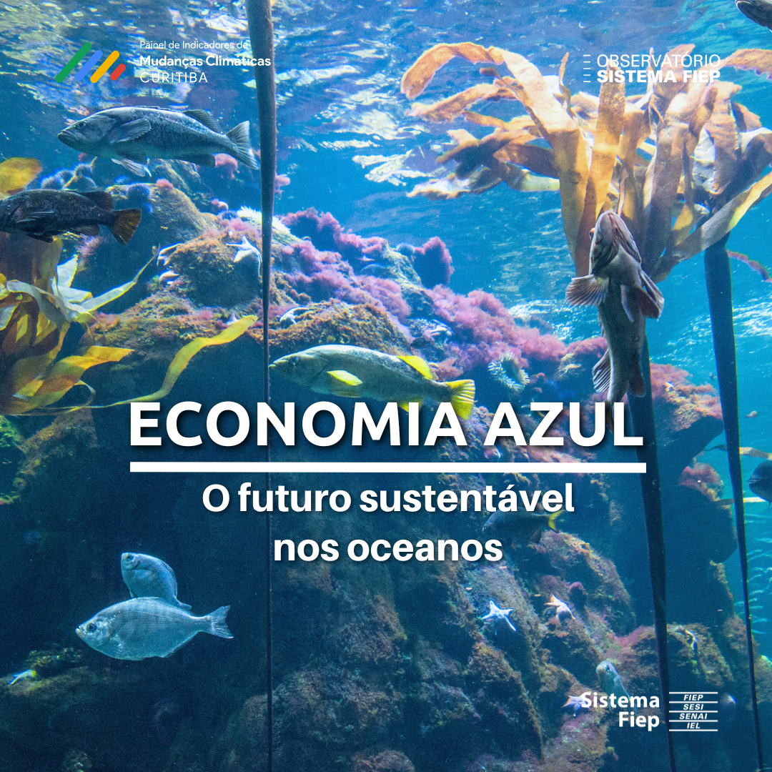 A ECONOMIA AZUL