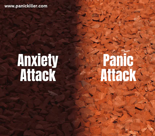 Panic Attacks Vs Anxiety Attack - The Key Differences You Need to Know ...